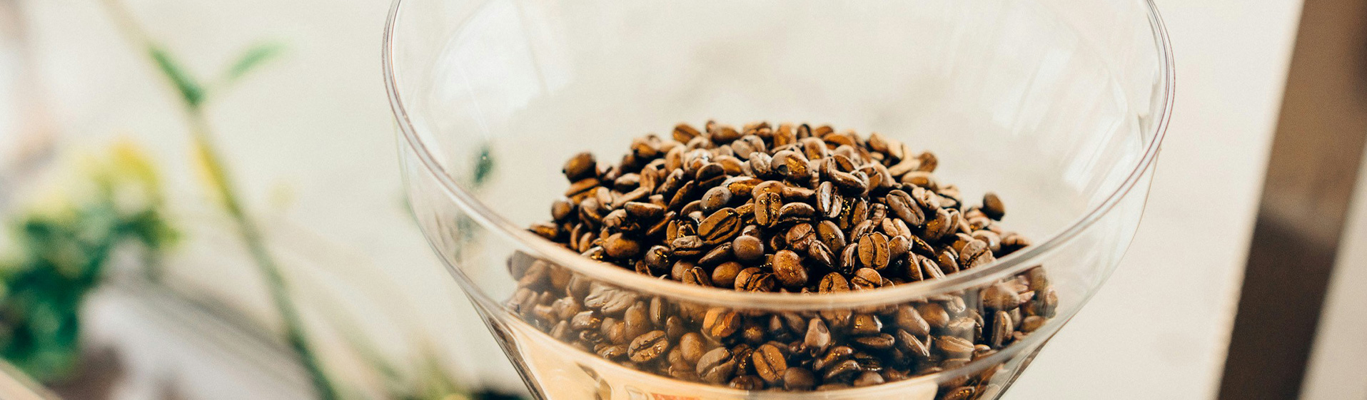 Coffee Grinder Maintenance: Keeping Your Hopper Clean - Evolve North