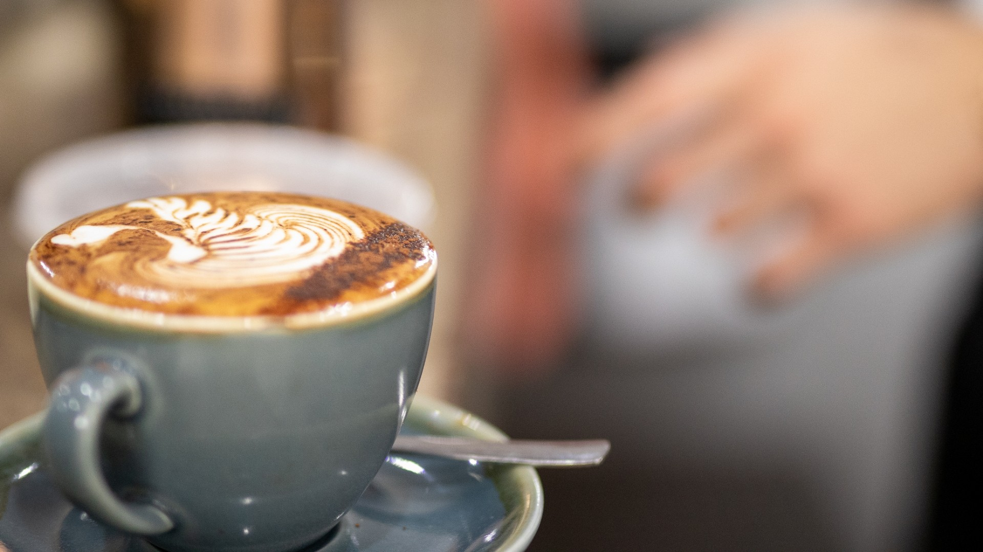 Service You’ll Love - Evolve North