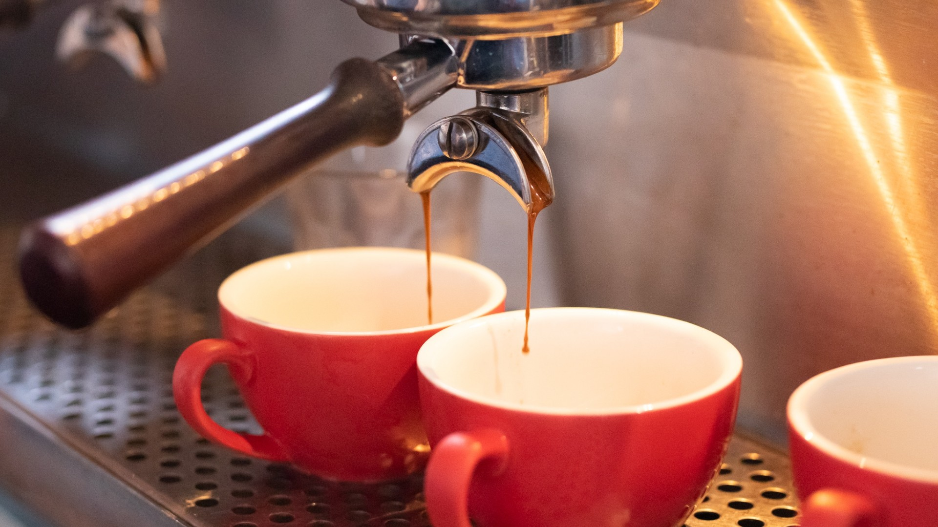 The Roastery Blog - Evolve North