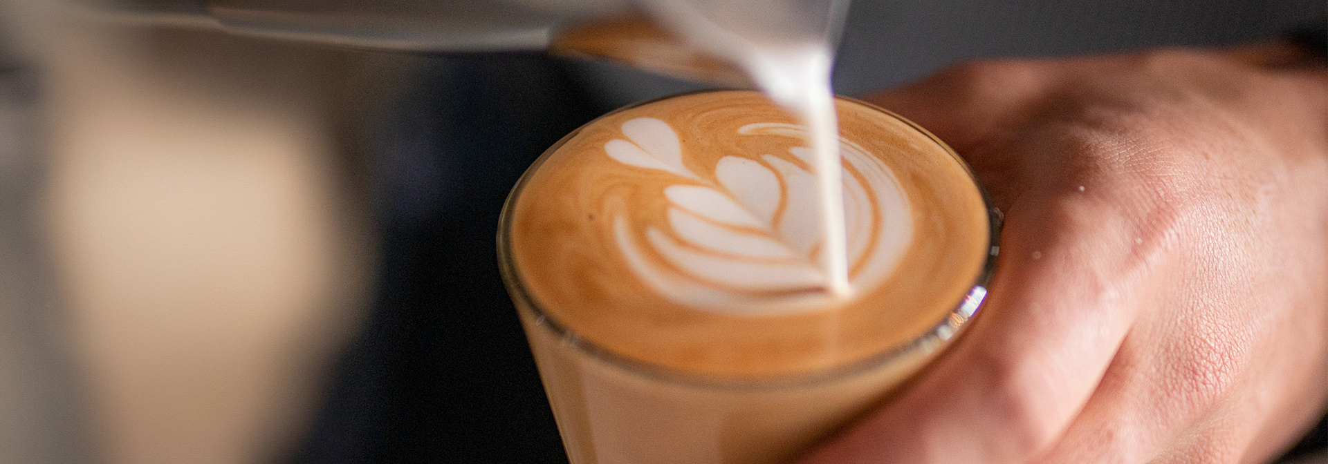 Latte Mastery: A Guide by Evolve North Coffee Roasters - Evolve North