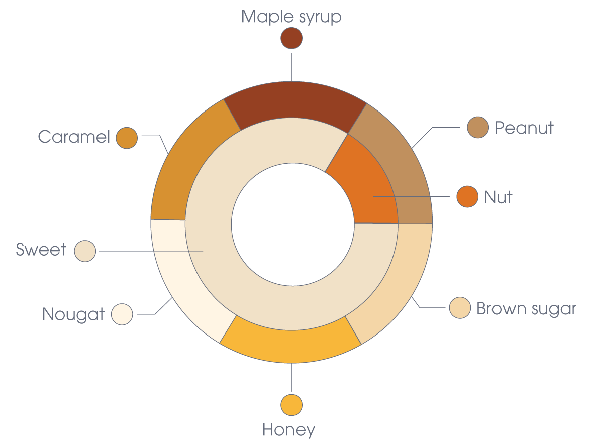 Second Wind - Evolve North