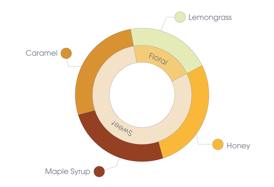 Memory Lane - Evolve North