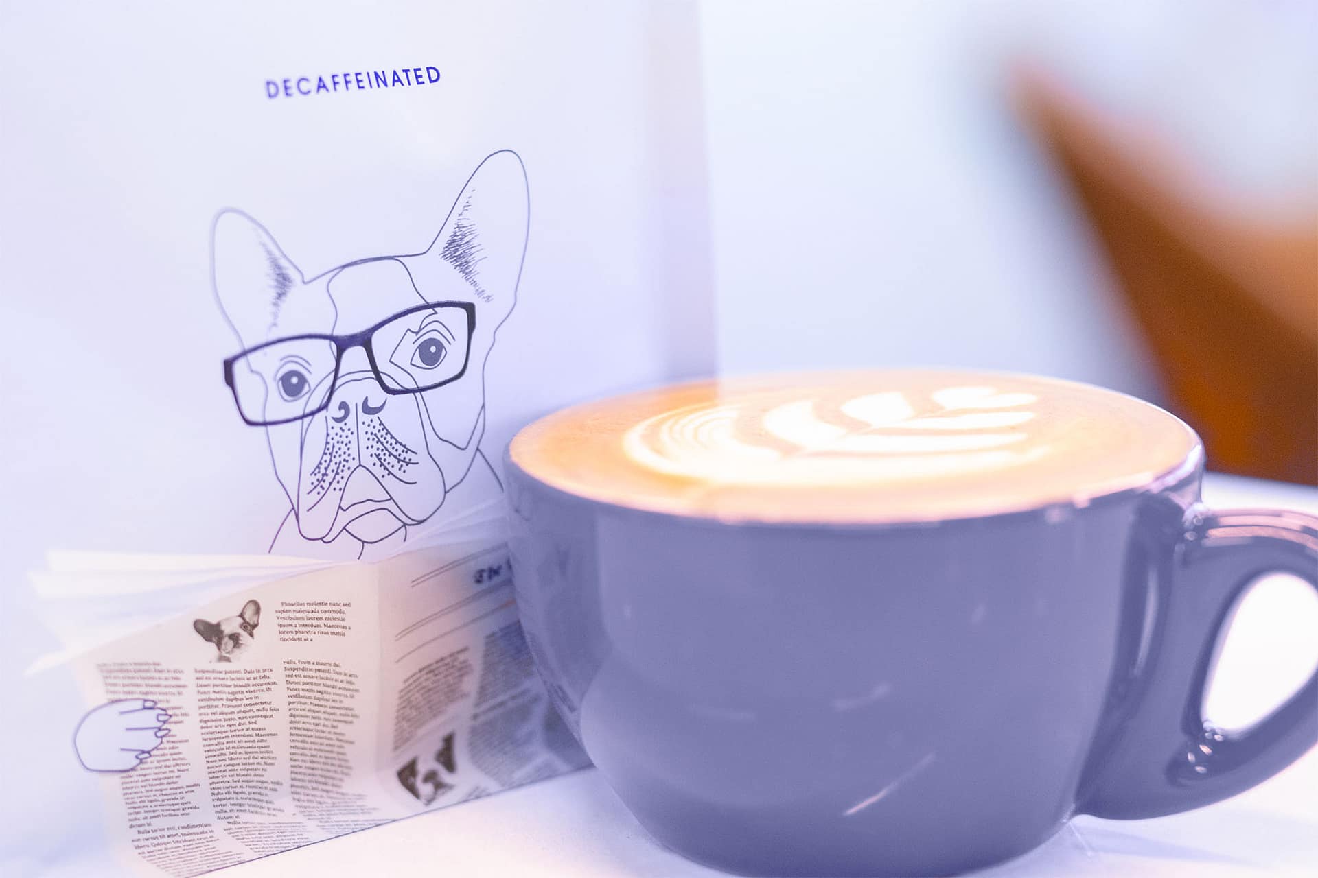 Introducing 'Slow & Steady': Decaf, Redefined. - Evolve North